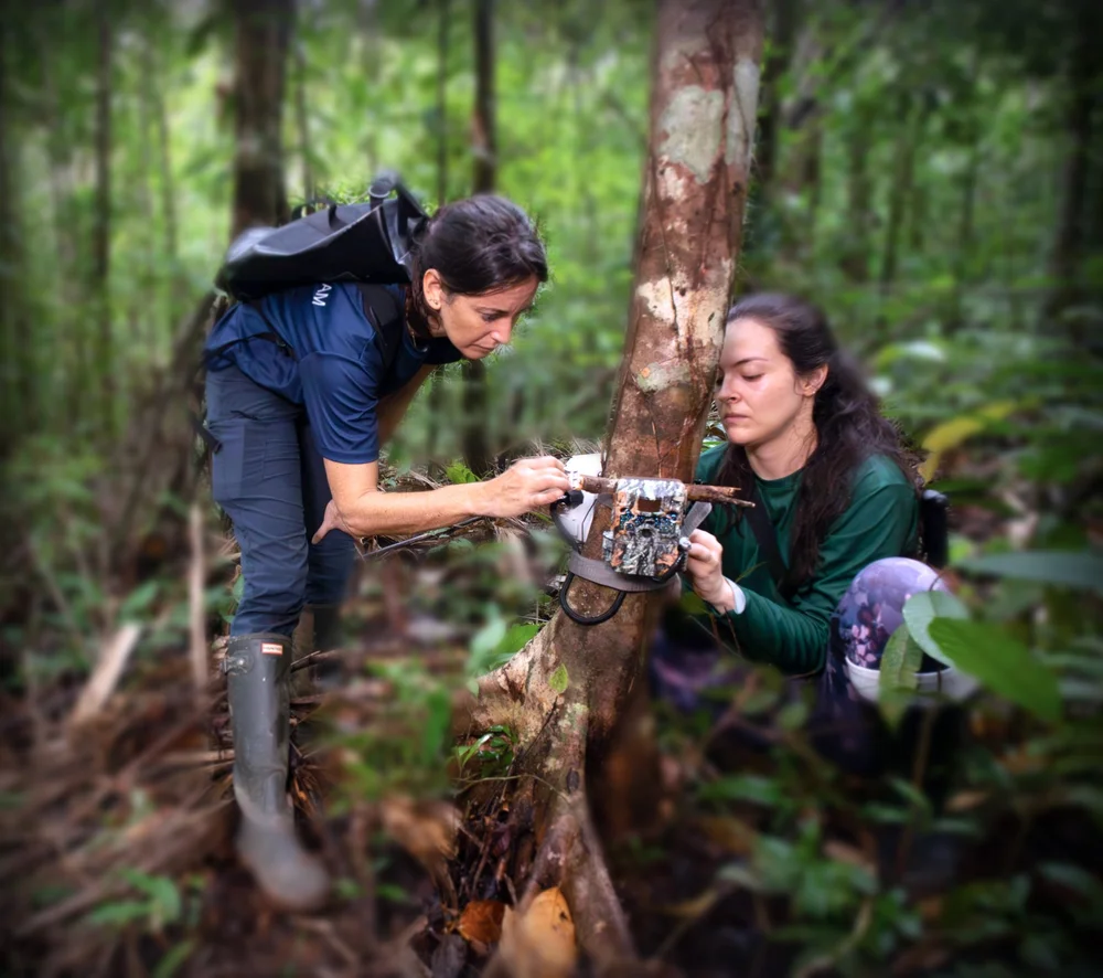 Nature Tech Collective | Powering Nature-Positive Innovation