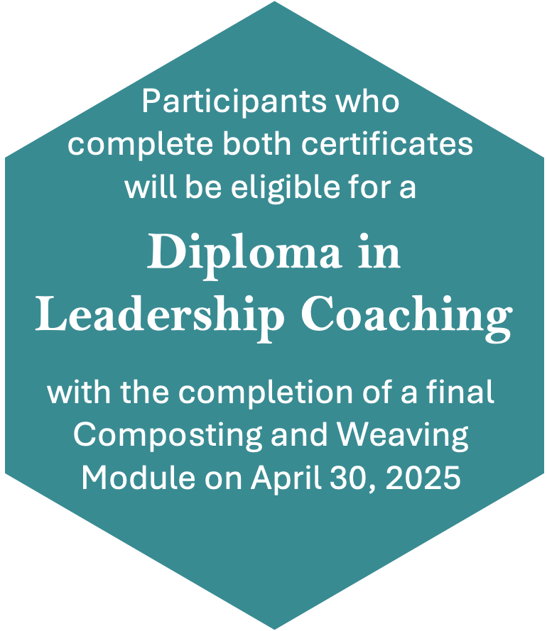 Diploma in Coaching — Eco-Leadership Institute