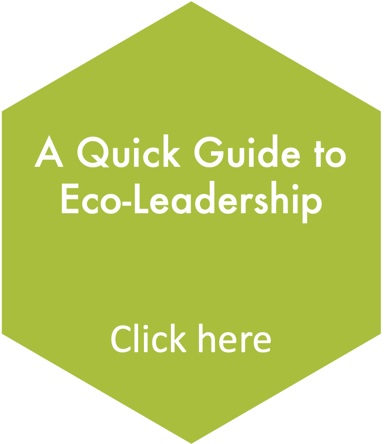 Papers and reports — Eco-Leadership Institute