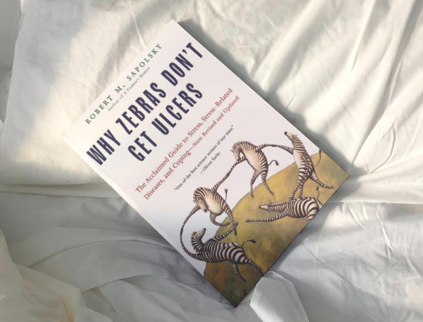 Editor’s Picks: The Art of Well-being — Mude