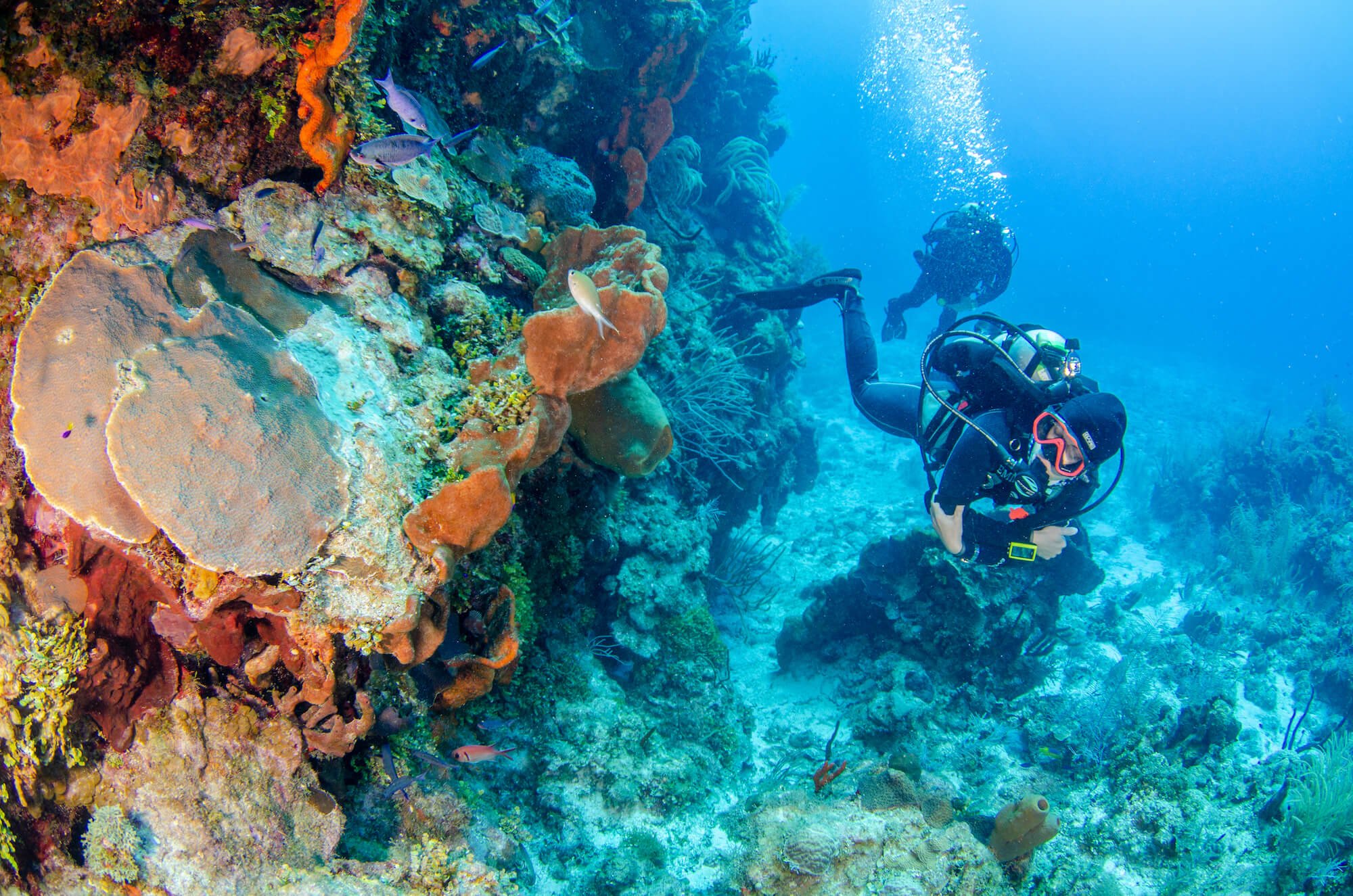 Atlanta's Premier SCUBA Diving Center | Dive Georgia