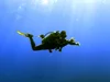 SCUBA Diving Lessons in Atlanta — Dive Georgia