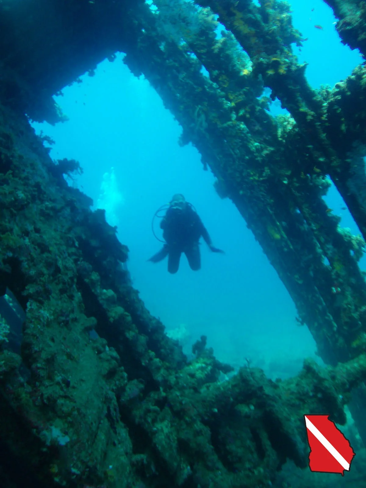 SCUBA Diving Lessons in Atlanta — Dive Georgia