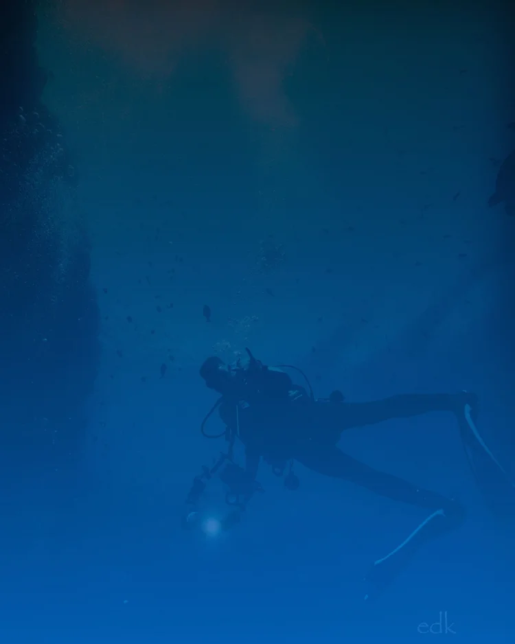 Atlanta's Premier SCUBA Diving Center | Dive Georgia