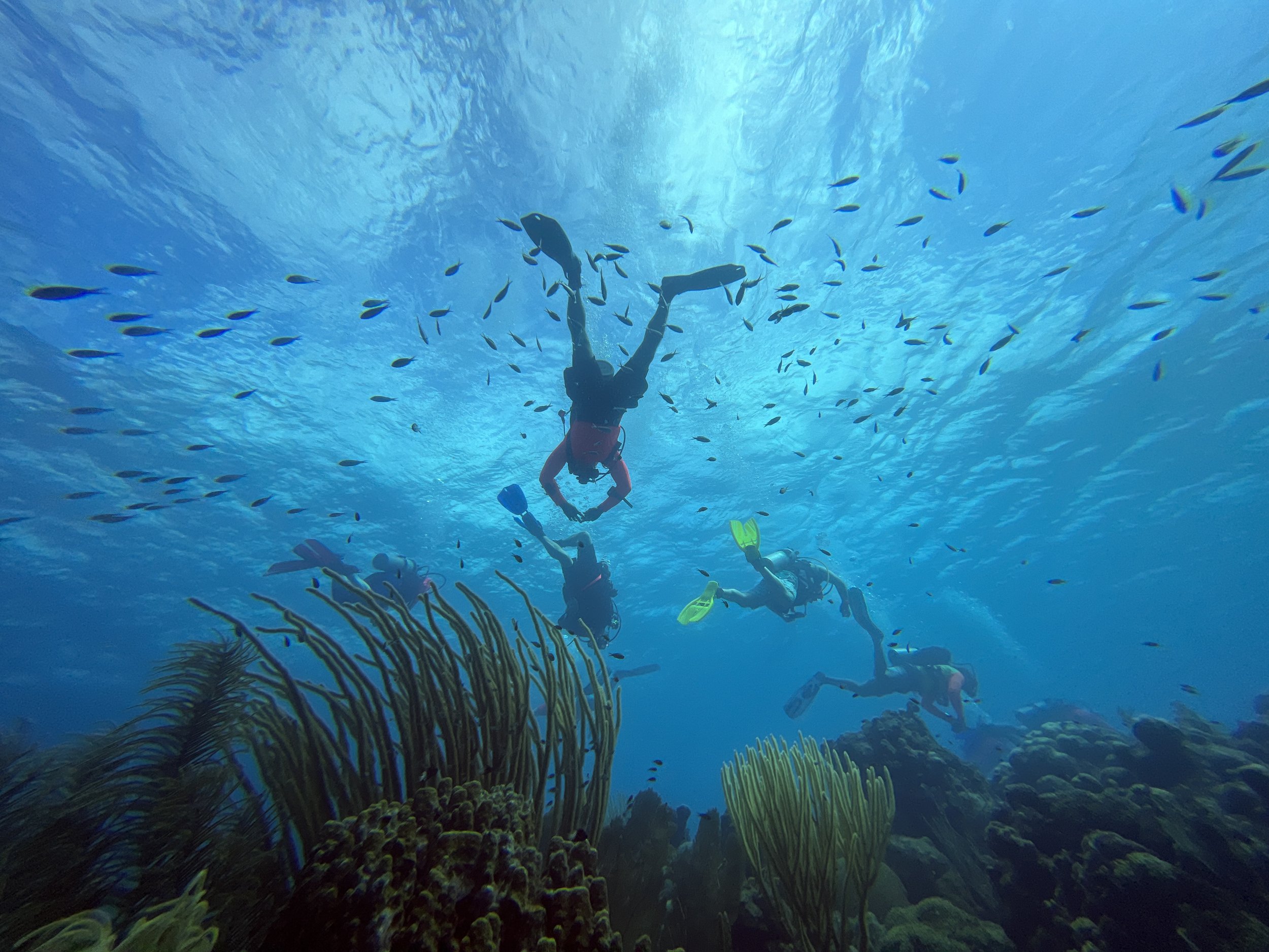 SCUBA Diving Lessons in Atlanta — Dive Georgia