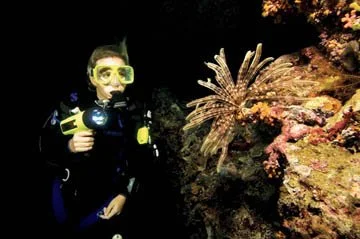 SCUBA Diving Lessons in Atlanta — Dive Georgia