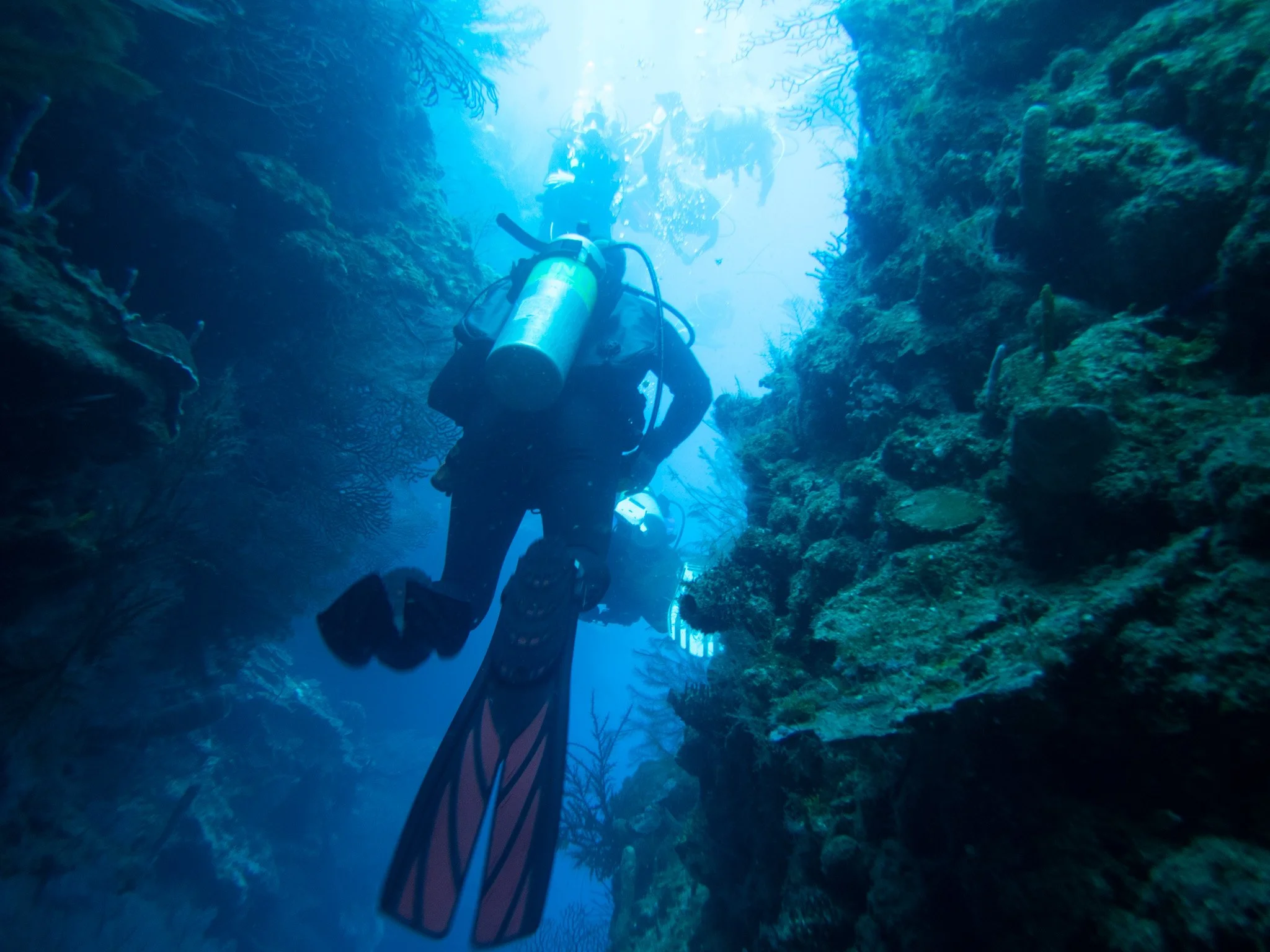 SCUBA Diving Lessons in Atlanta — Dive Georgia