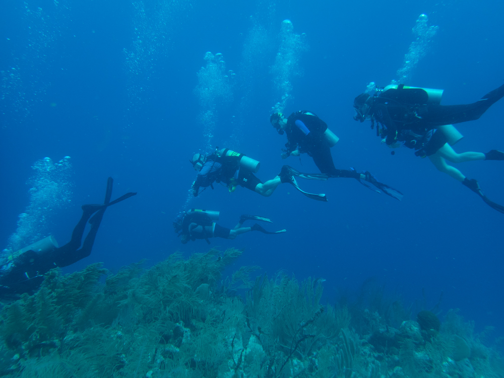 SCUBA Diving Lessons in Atlanta — Dive Georgia