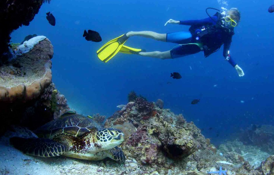 SCUBA Diving Lessons in Atlanta — Dive Georgia