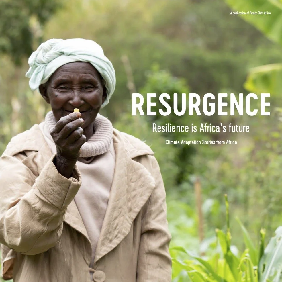 RESURGENCE: Resilience is Africa’s future - Climate Adaptation Stories ...