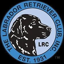 RidgeView Labradors