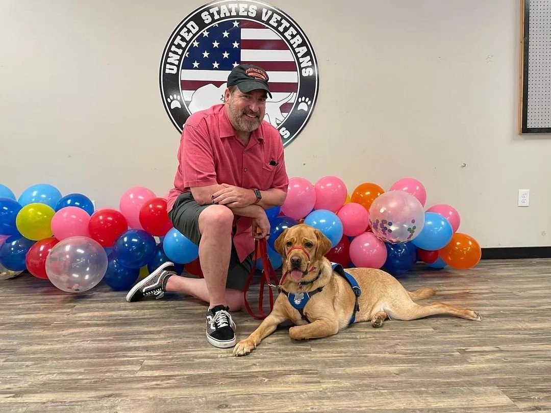 Working Service Dogs — RidgeView Labradors