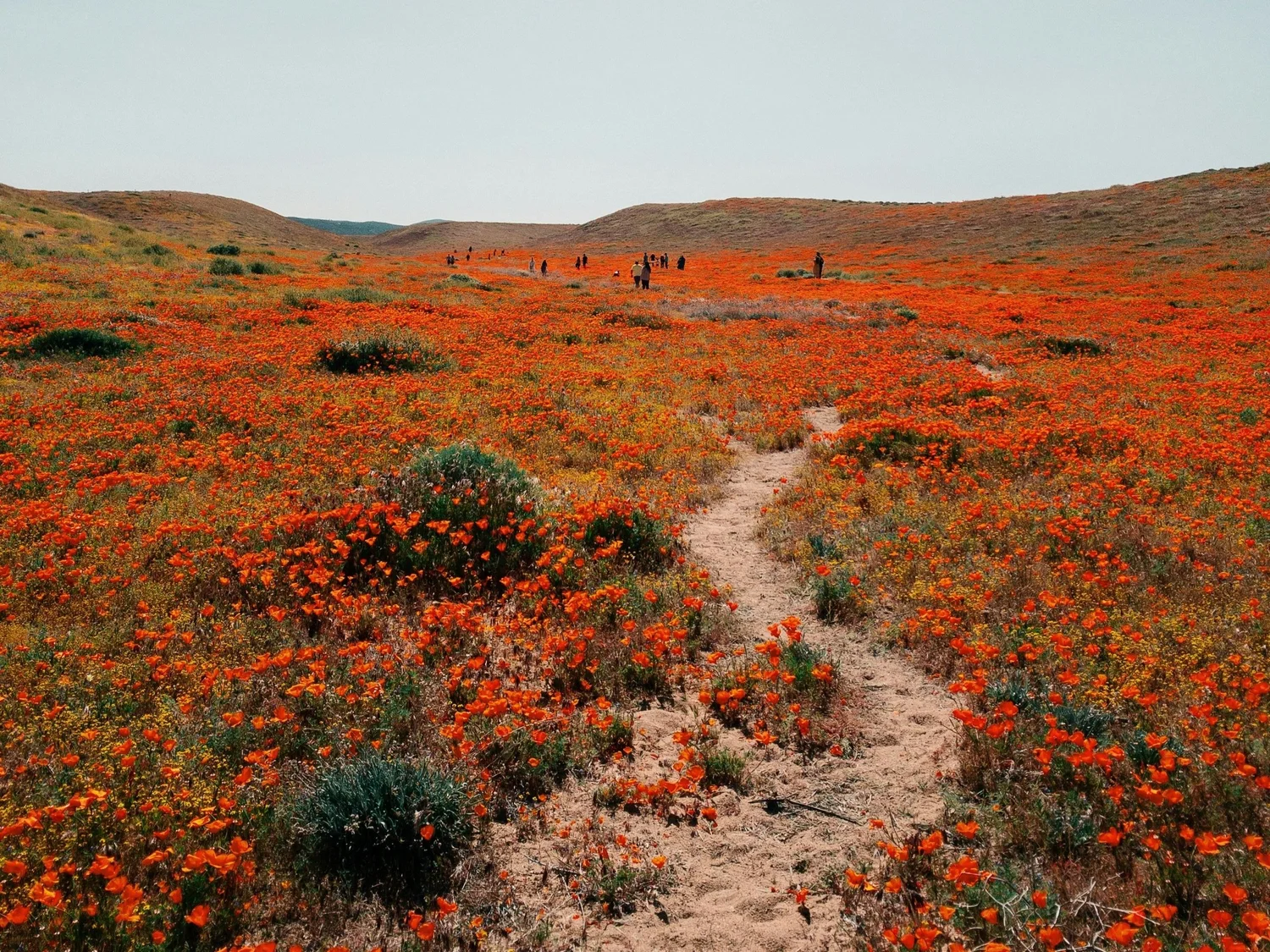 Antelope Valley — riserealestate