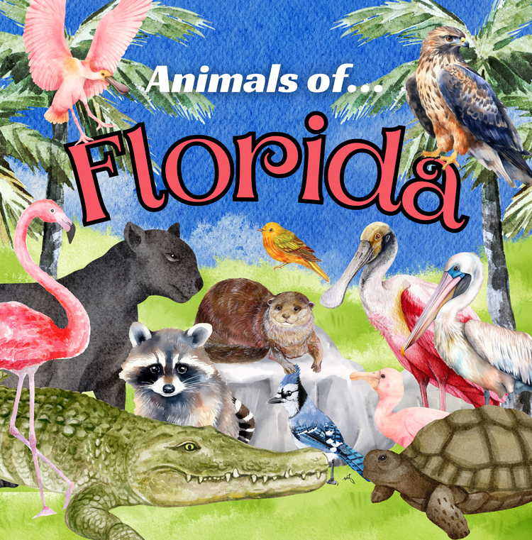 Sloth Dreams Books & Publishing