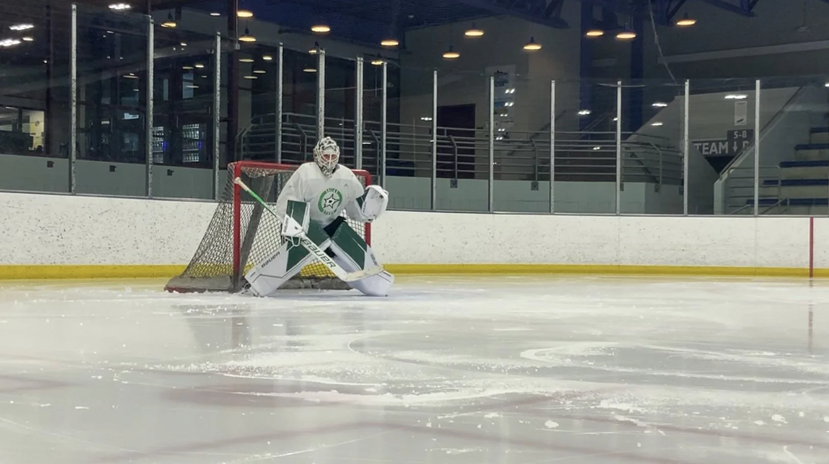 Next Level Goaltending