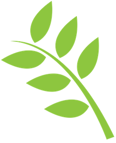 Together for Humanity