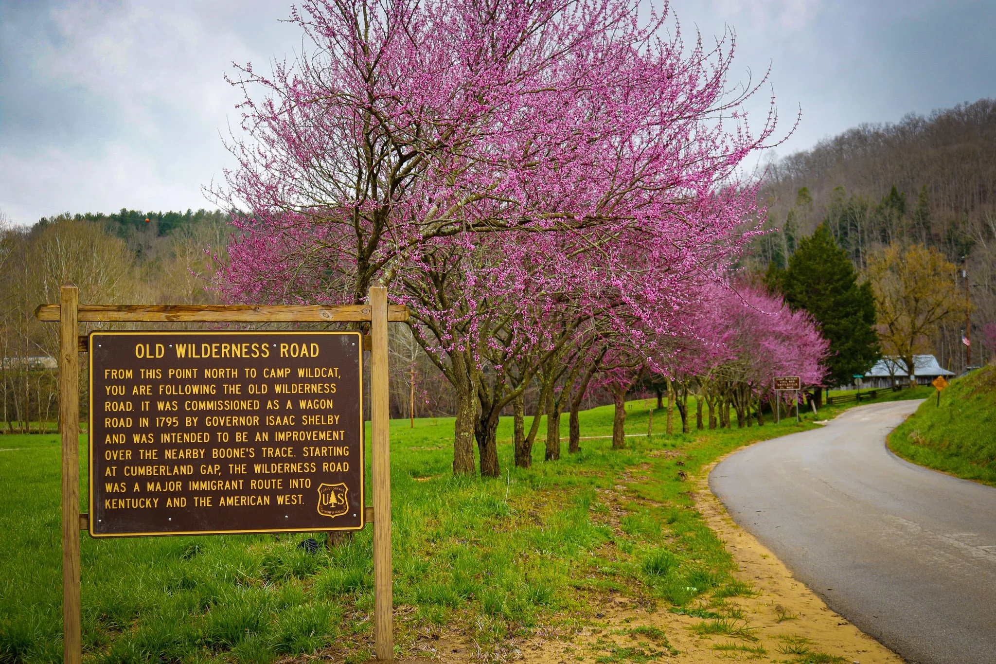 Visitors | Explore & Support Now — Camp Wildcat Preservation Foundation
