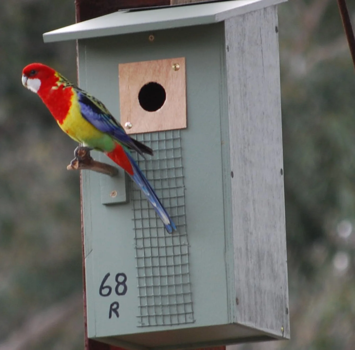 Nest Boxes — Bellarine Landcare