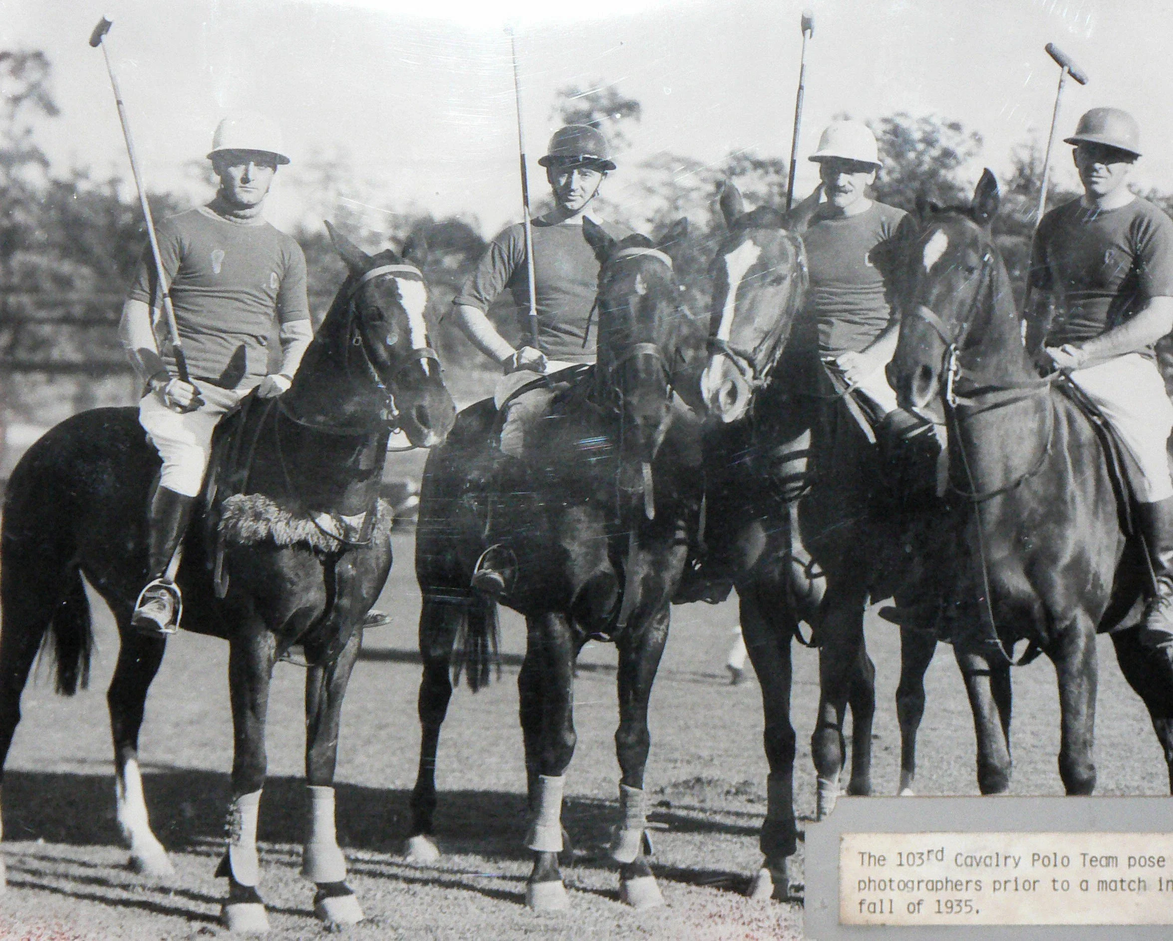 About — American Polo Association