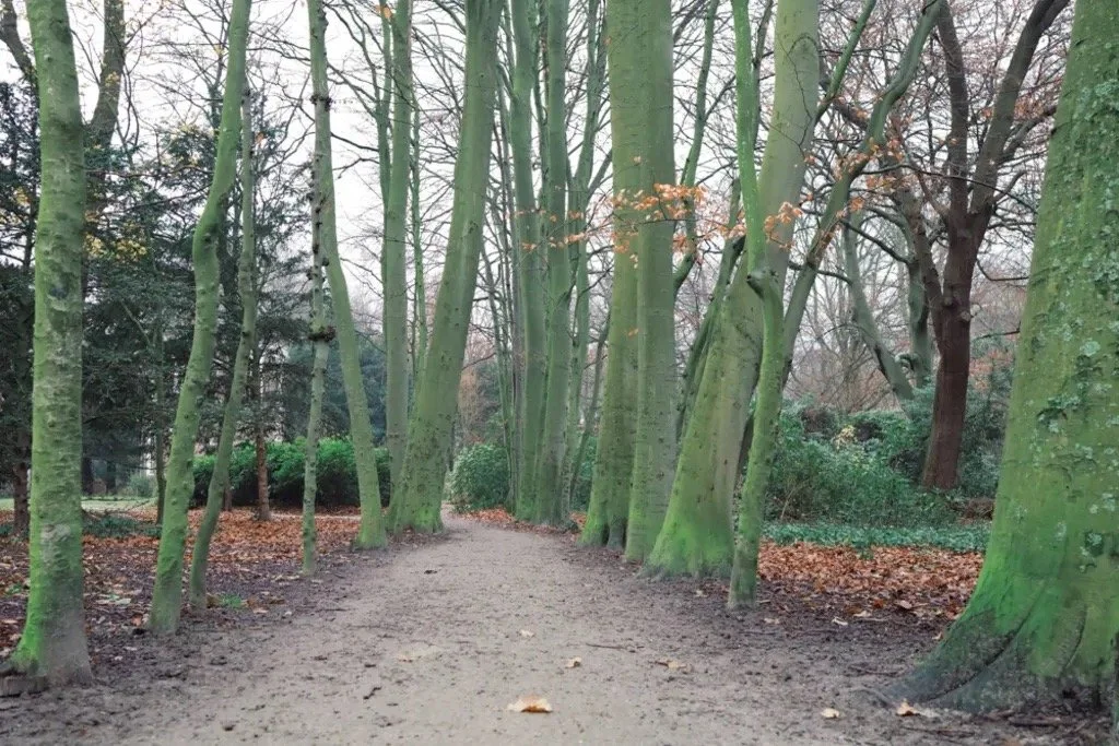 Camera Line-up — hafur.com | vague pictures of amazing moments