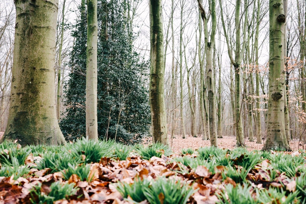 hafur.com | vague pictures of amazing moments