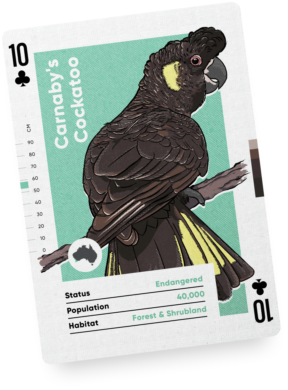 Wildly Nice | Discover and Support Aussie Birds