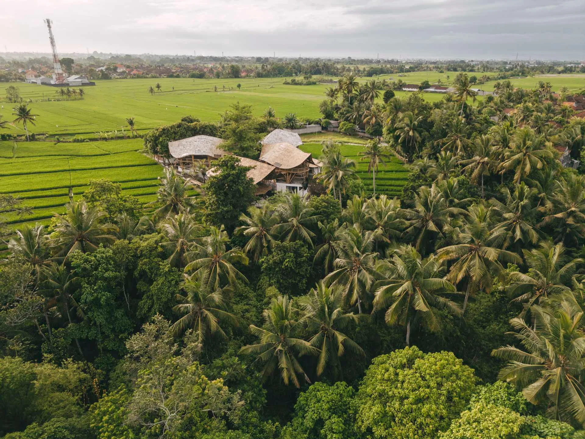 Sun School Bali