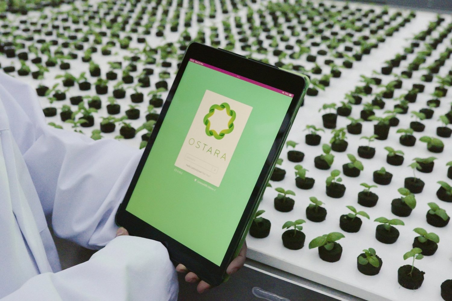 Ostara farm software