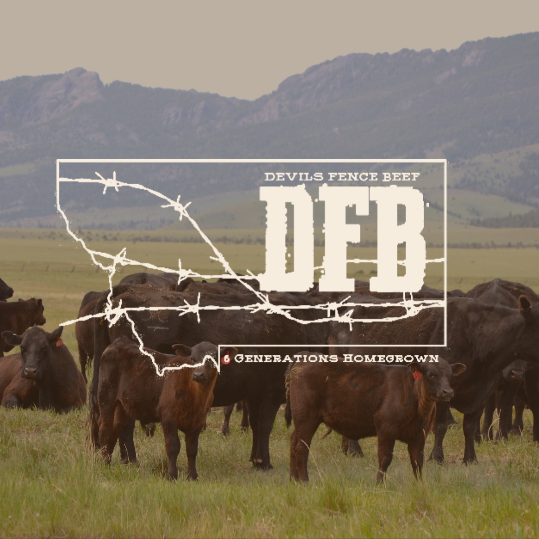 Wild Horse Creative | Graphic & Web Design Services for Small Business Owners