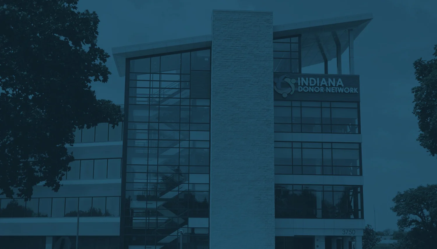 About — Division 7 Mtls