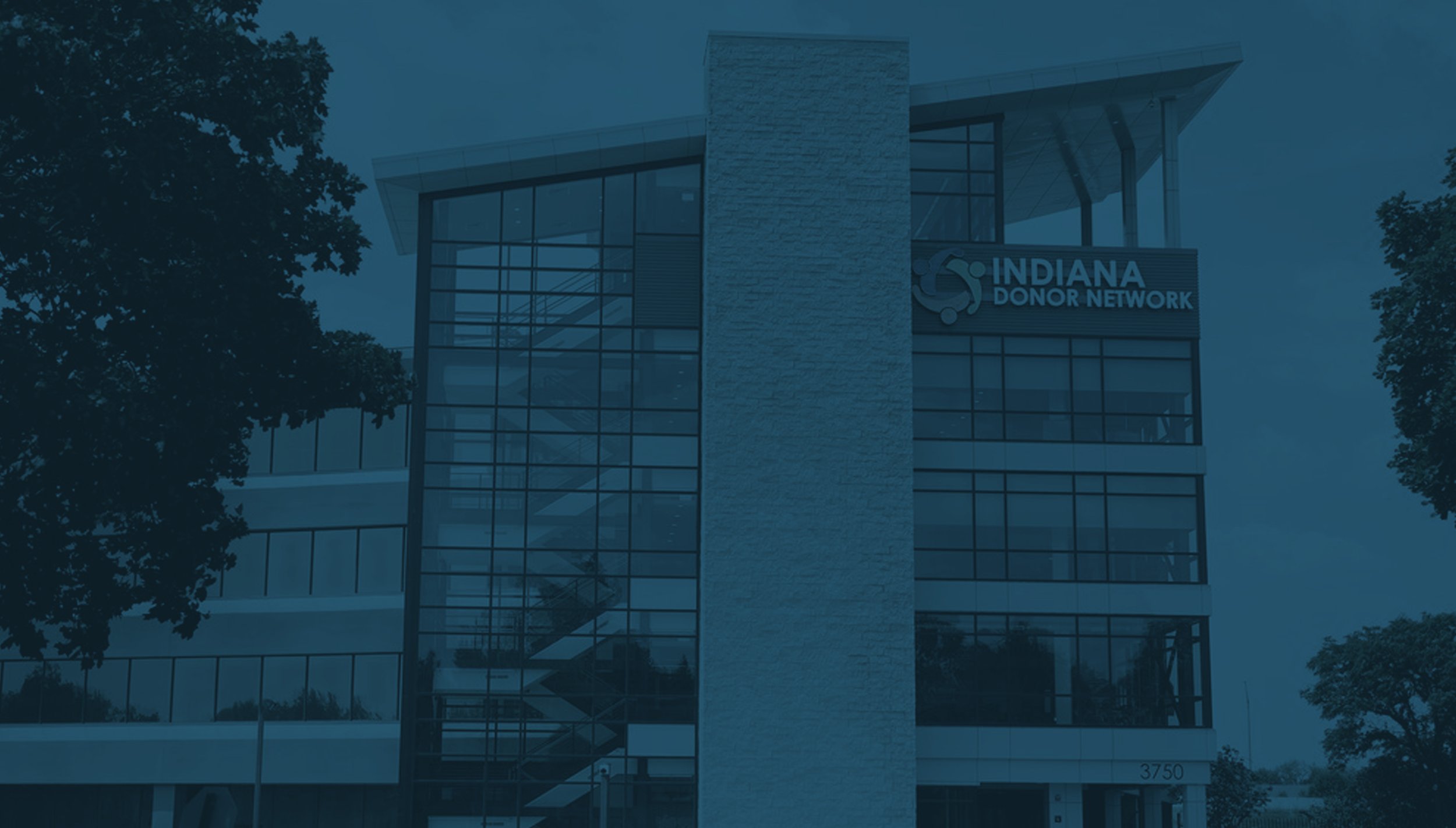 About — Division 7 Mtls