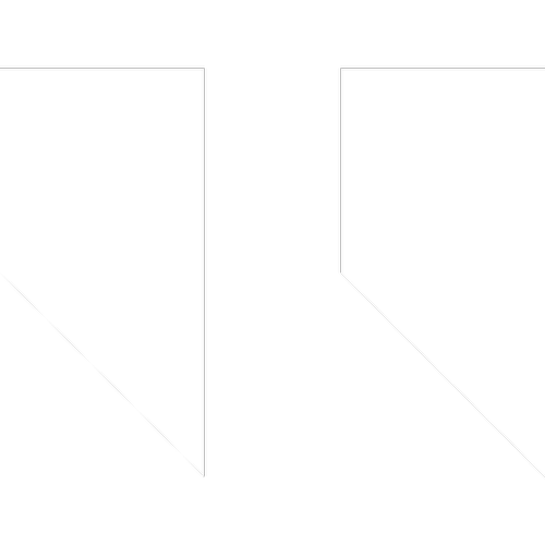 Exevion Management Consultants