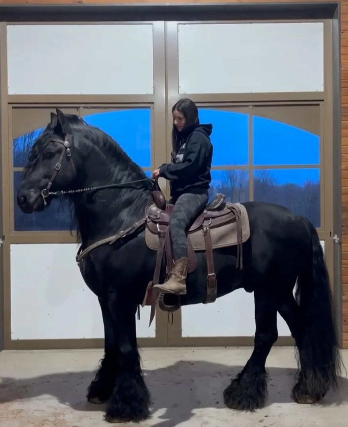 Family Stables — FAMILY STABLES