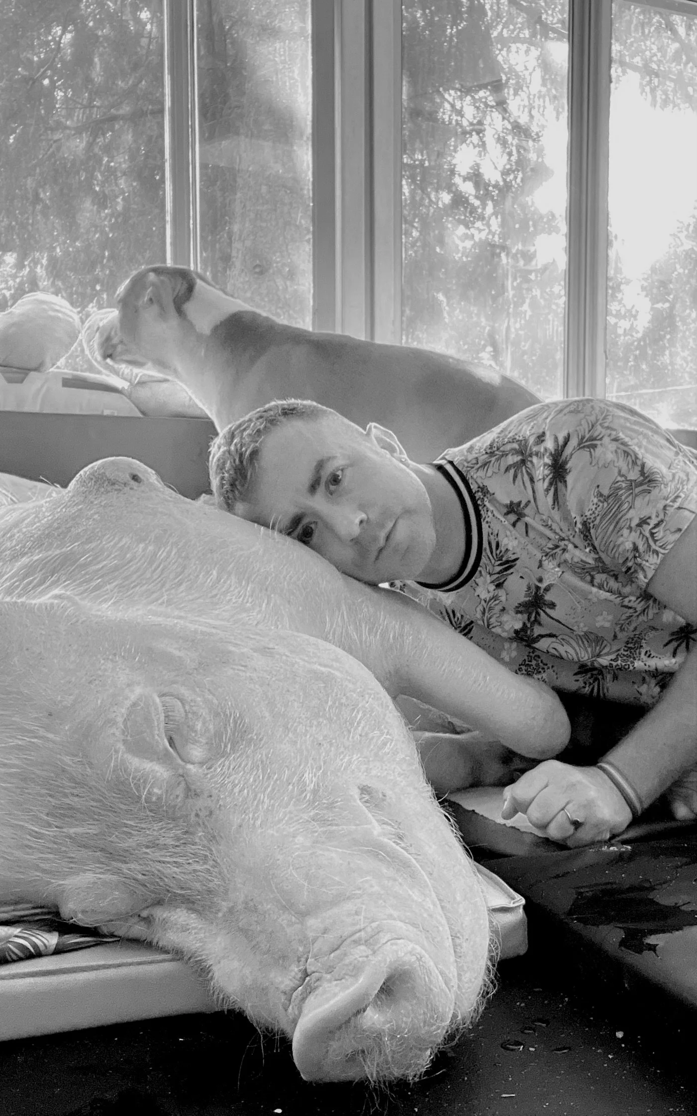 Accidental Activist, Wonder Dad, Author, Speaker,