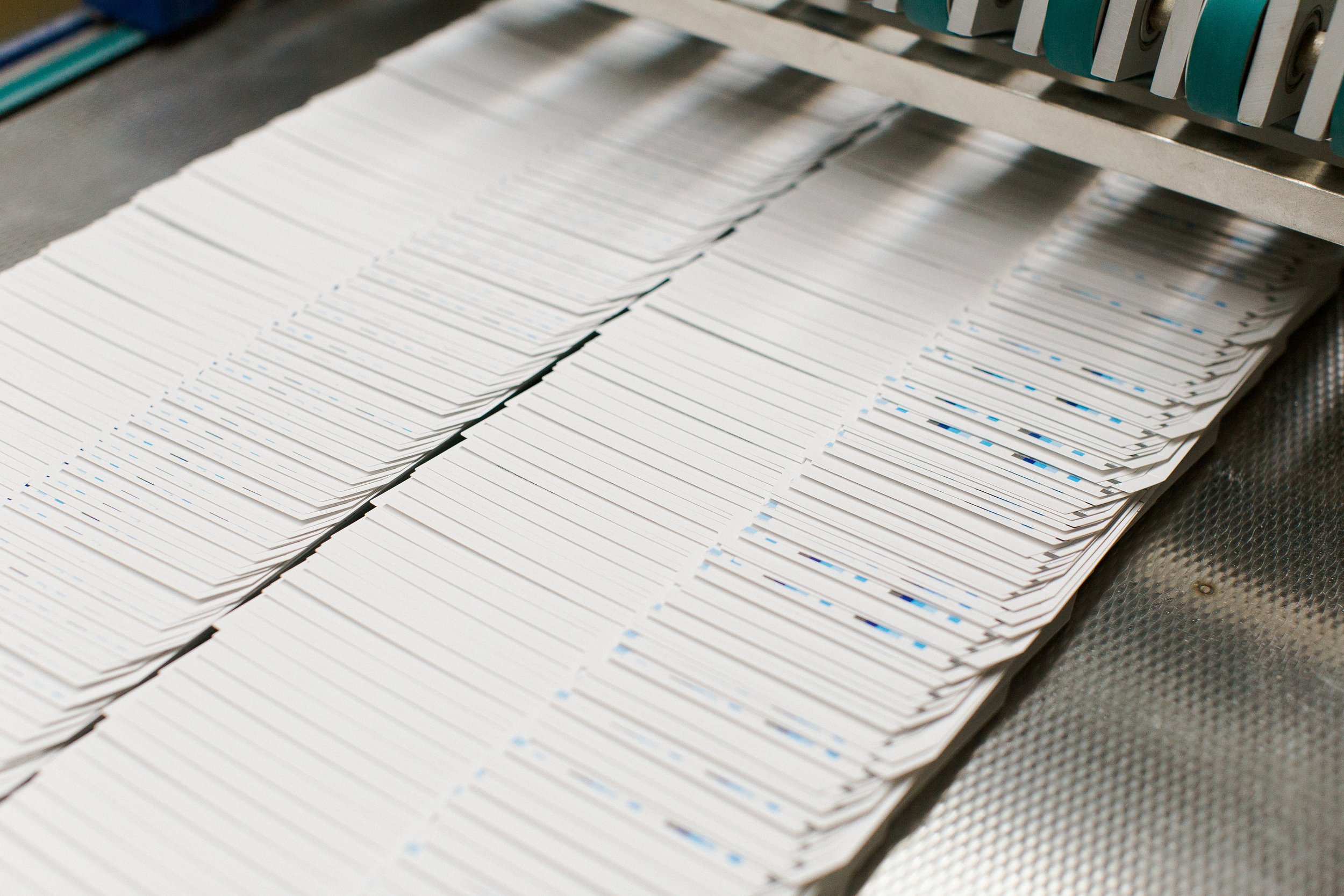 Direct Mail | Bison Printing