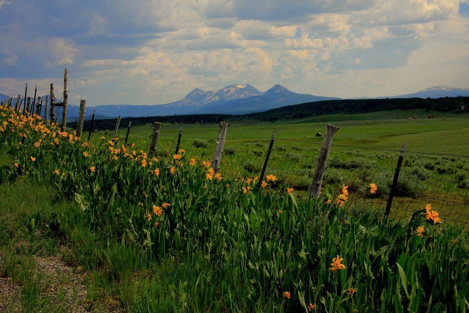 Good Shepherd Ranch Master Plan — ZGEO Energy