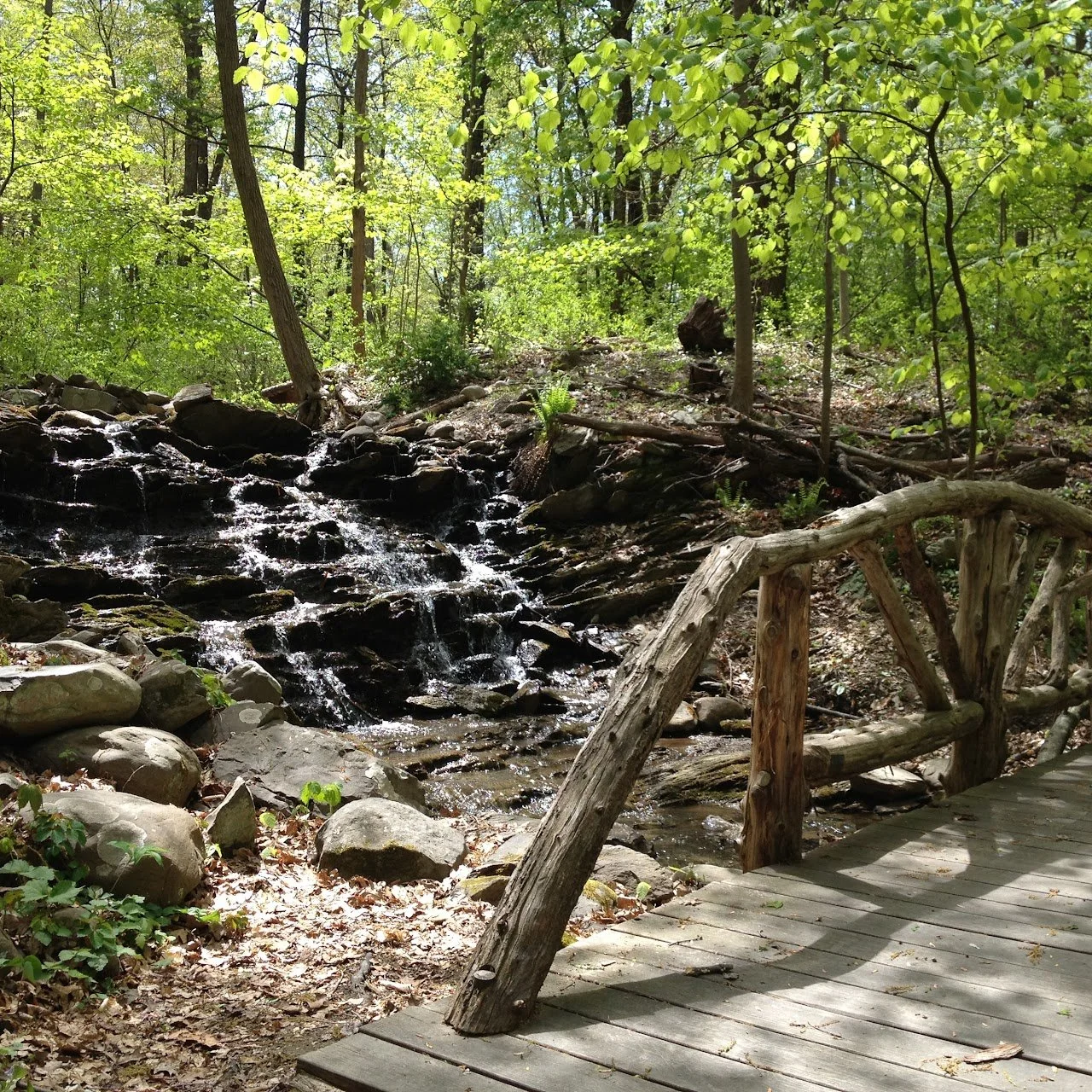 Locust Grove Historic Site