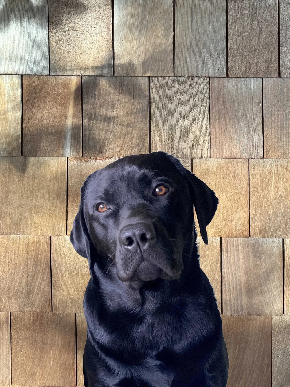 General 1 — rba studio