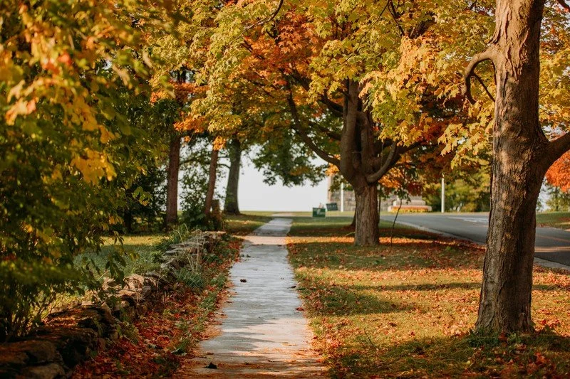 One Day Tours — DK Tours LLC