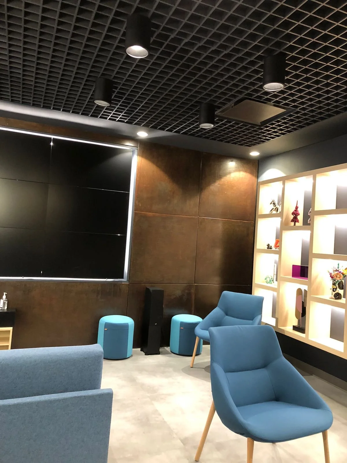 Ceiling Solution — Metallic Solution