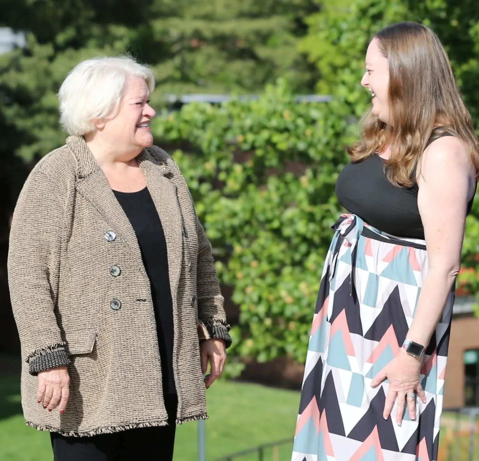 Connie's Big 3 — Connie Steinmetz for MO House District 87