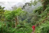 The Philippines is Failing to Include Indigenous People in Climate ...