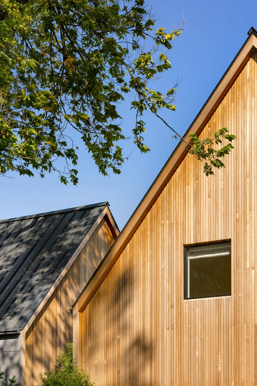 Briarcliff Residence: Award-Winning Residential Architecture in ...