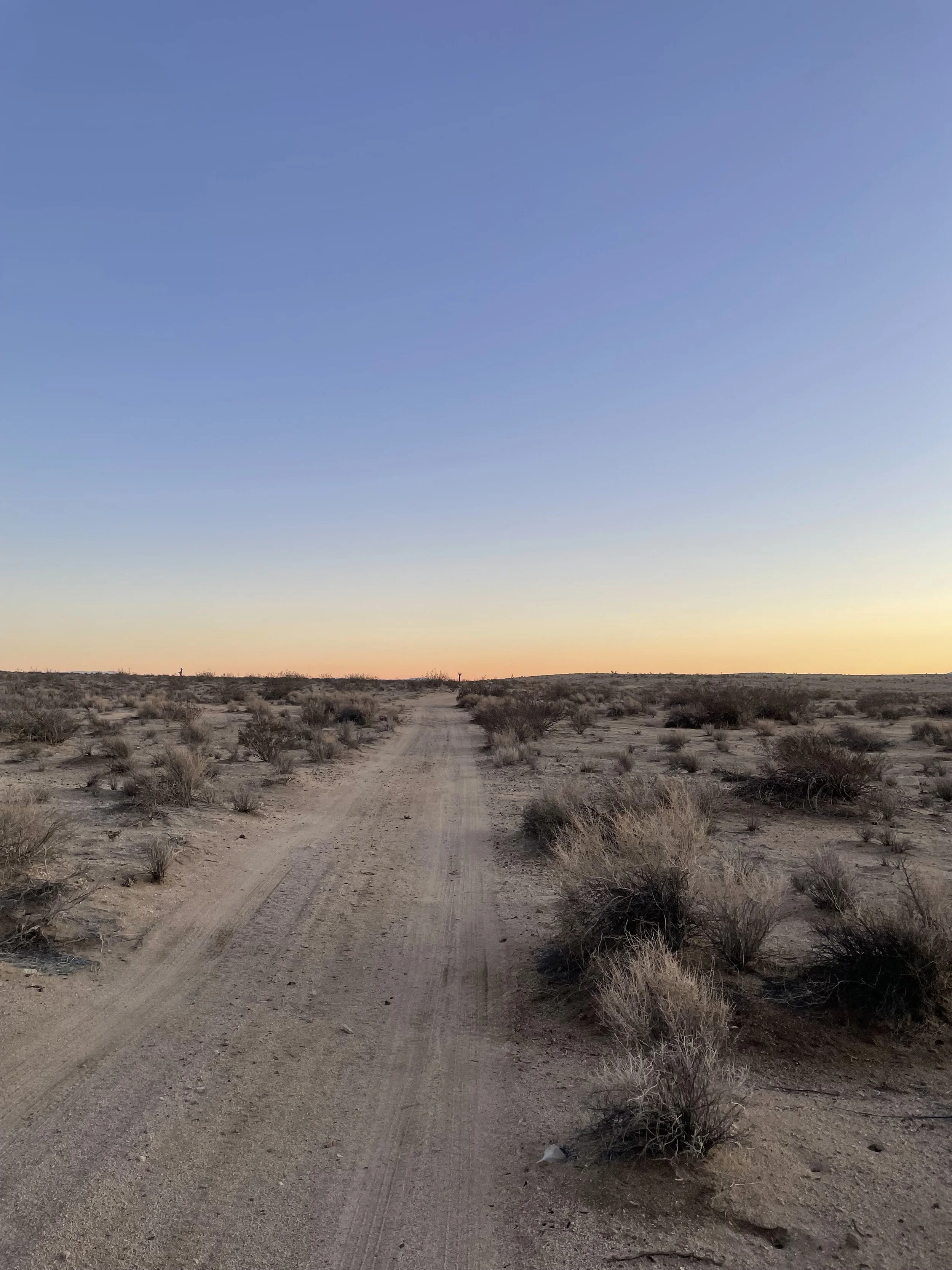 Canari: Sustainable Villas in the Mojave Desert | Disbrow Iannuzzi ...