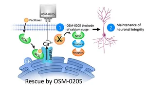 Our Approach — OSMOL Therapeutics