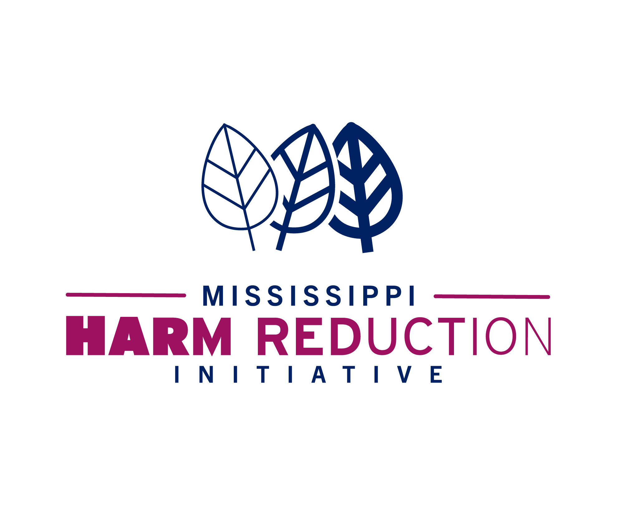 About — Mississippi HIV Decriminalization Network
