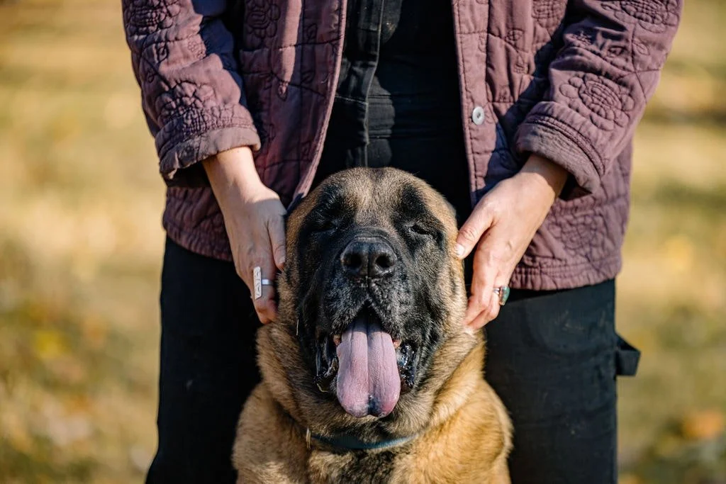 Fablehound — Voiceover Actor & Voiceover Coaching by Emily Wold