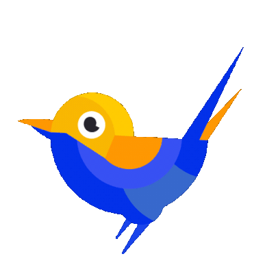 Chirpy Plus 50+ Friendship Community | About