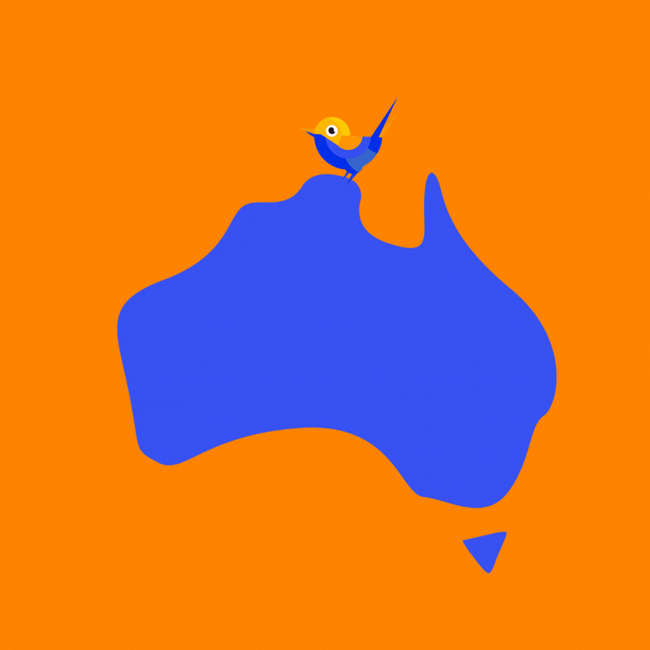 Chirpy Plus 50+ Friendship Community | Chirpy Groups & CatchUps