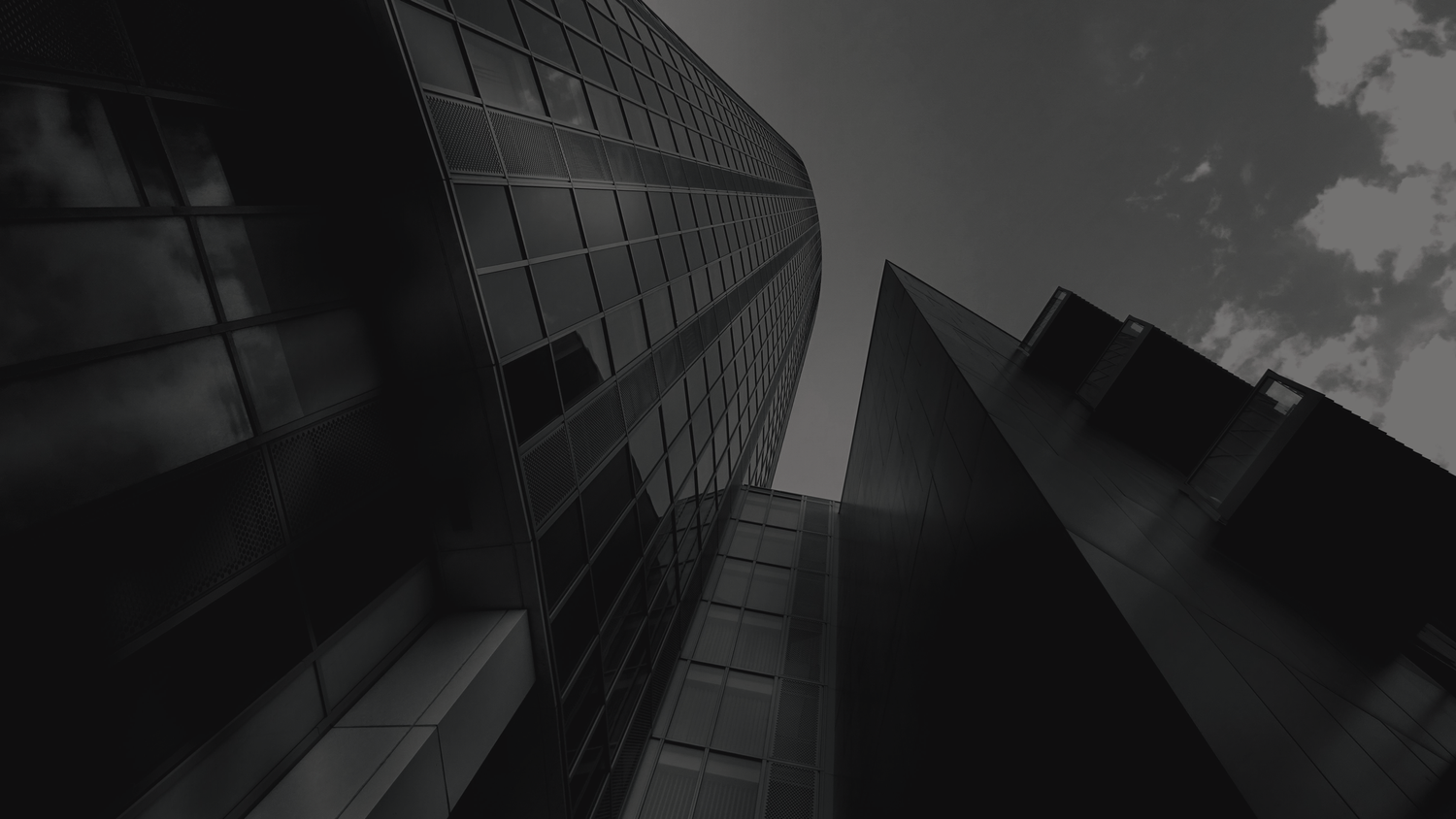 BLACK LABEL REALTY